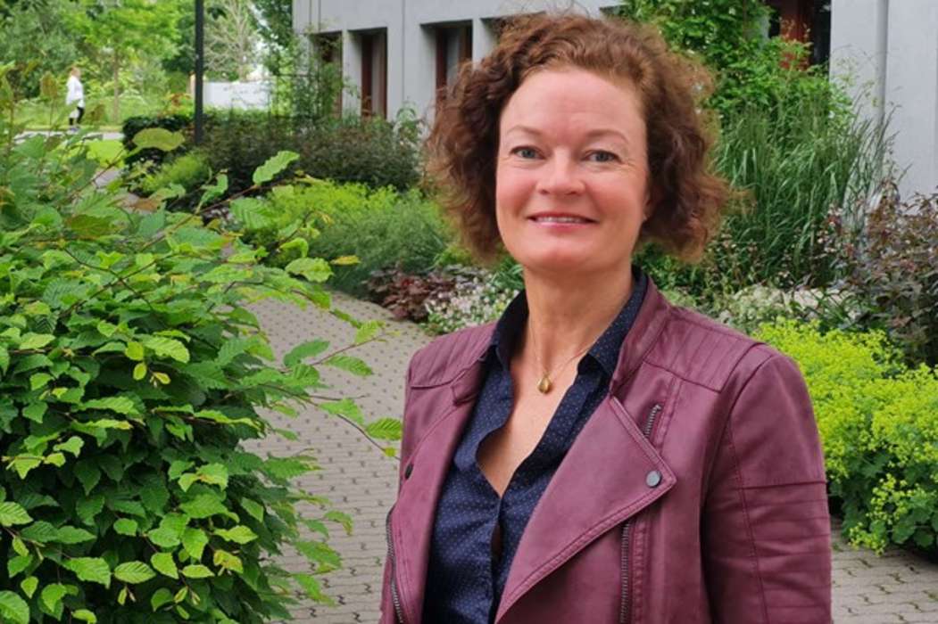 Förvaltningschefen: Kungsbackaskogen ska vara en skog för alla » Norra ...