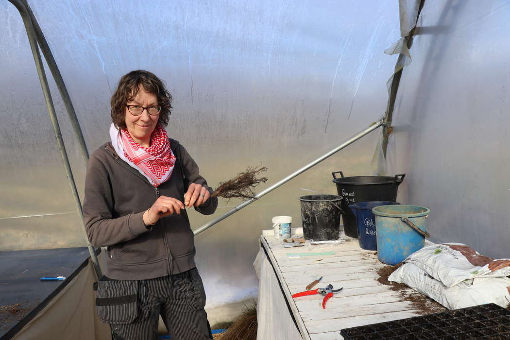 Godaste äpplena får du med ympning » Norra Halland - Kungsbackas ...