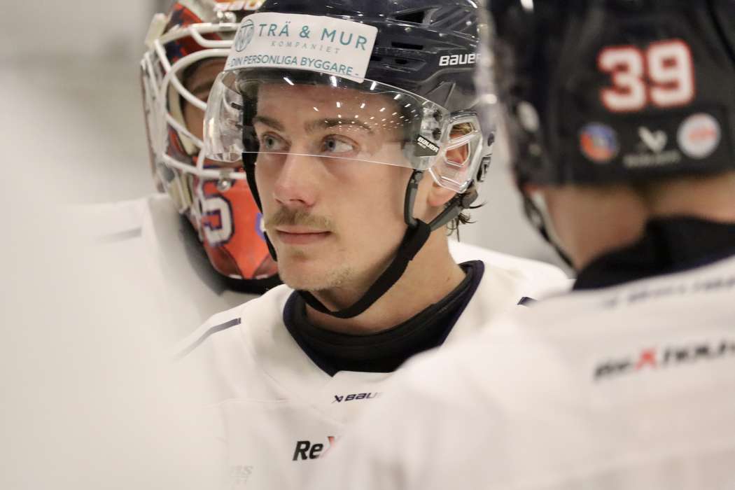 Frustrerat Hanhals lyckades komma tillbaka » Norra Halland ...